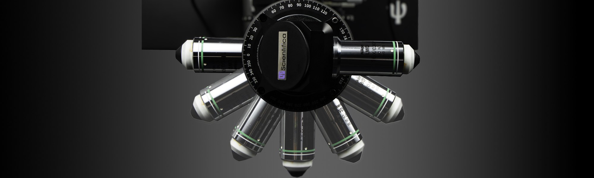 Scientifica Expands Multiphoton Portfolio with the Launch of Tiltable ...