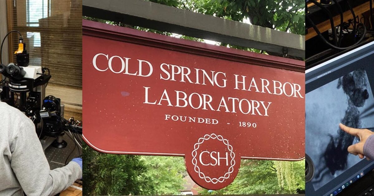 Cold Spring Harbor Courses 2026 | Scientifica