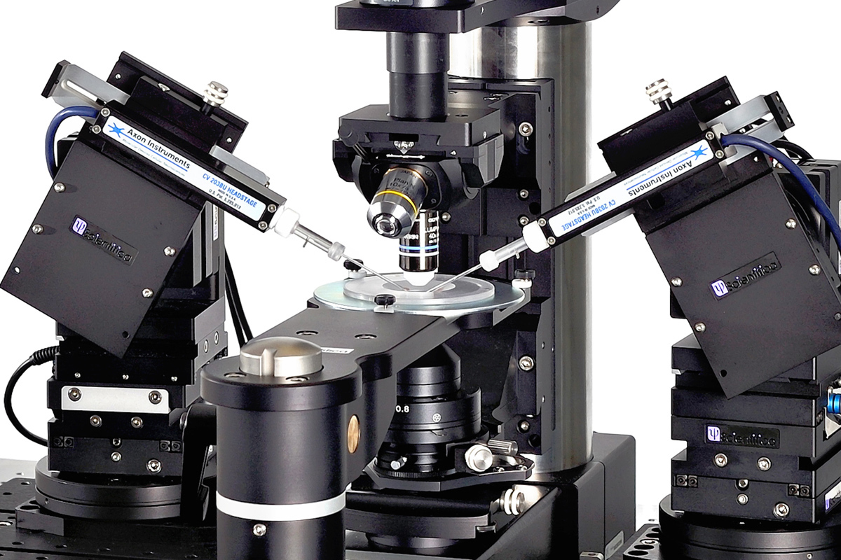 Scientifica | Experts in Electrophysiology Systems