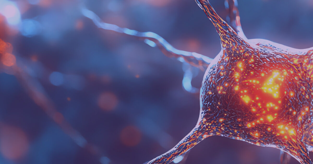 Neural Representations of Social Homeostasis | Scientifica