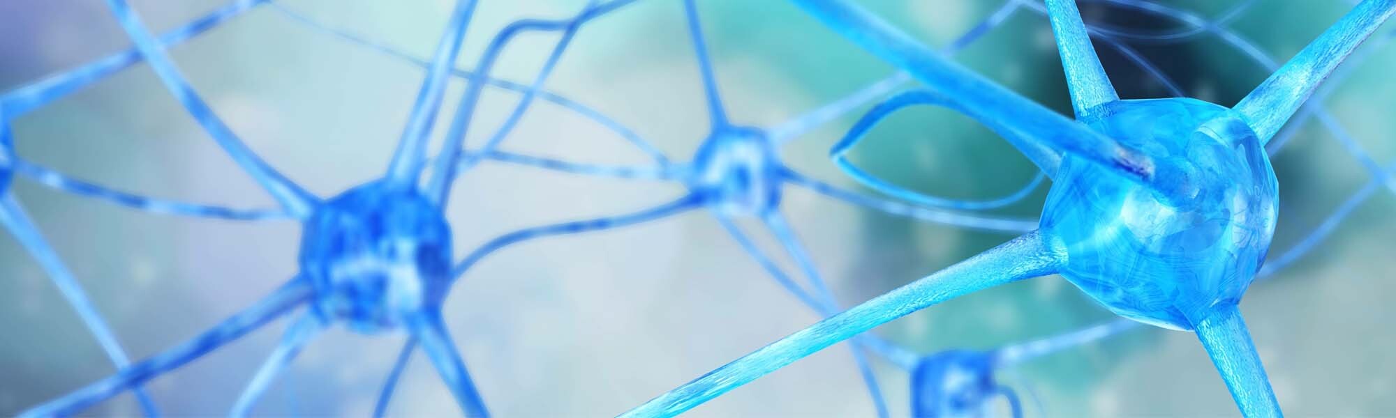 Neureka Seminar Series The Emergence Of Cortical Interneuron Diversity