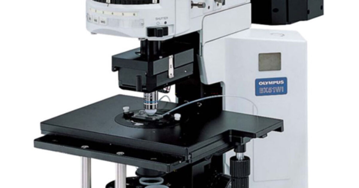 The Olympus BX51 WI | Scientifica