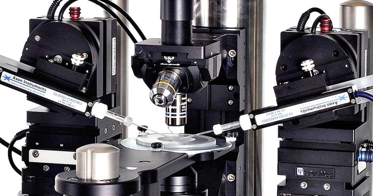 Upright Patch Clamp Rigs | Slice Electrophysiology | Scientifica