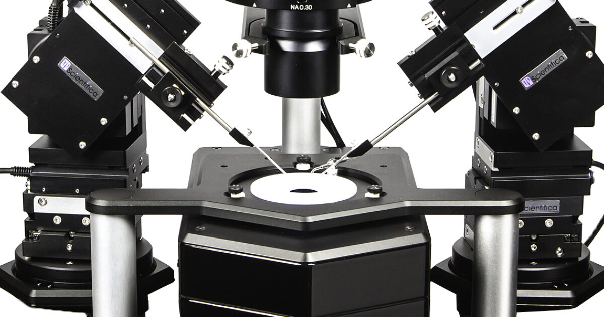 Cultured Cells Electrophysiology Rigs | Scientifica