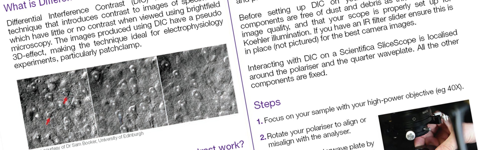 Scientifica | Providing Electrophysiology & Multiphoton Imaging Systems