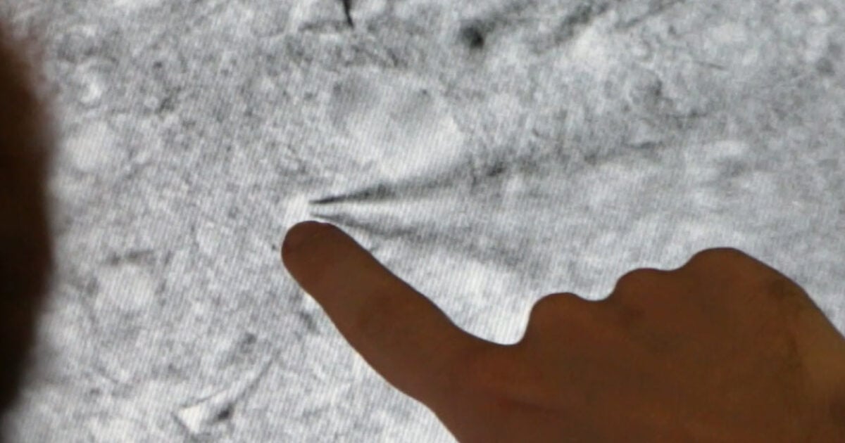 Patch clamp electrophysiology analysis with Python | Scientifica