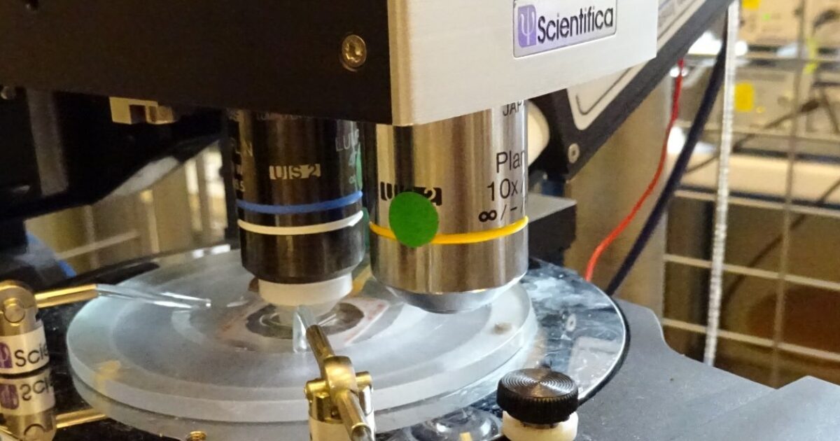 Using the SliceScope Pro 1000 for Brain Slice… | Scientifica