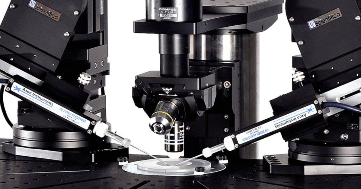 Using the SliceScope Pro 2000 for in vitro… | Scientifica