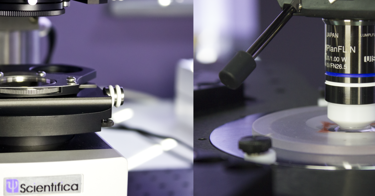 A guide to Differential Interference Contrast (DIC) | Scientifica