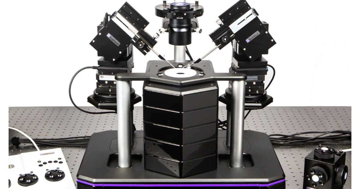 The first integrated solution for patching in cultured… | Scientifica