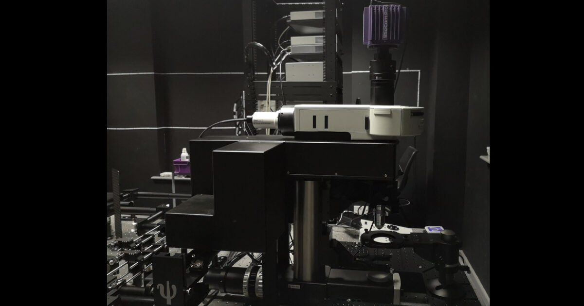 #LabHacks: Checking the alignment of your Galvo mirrors | Scientifica