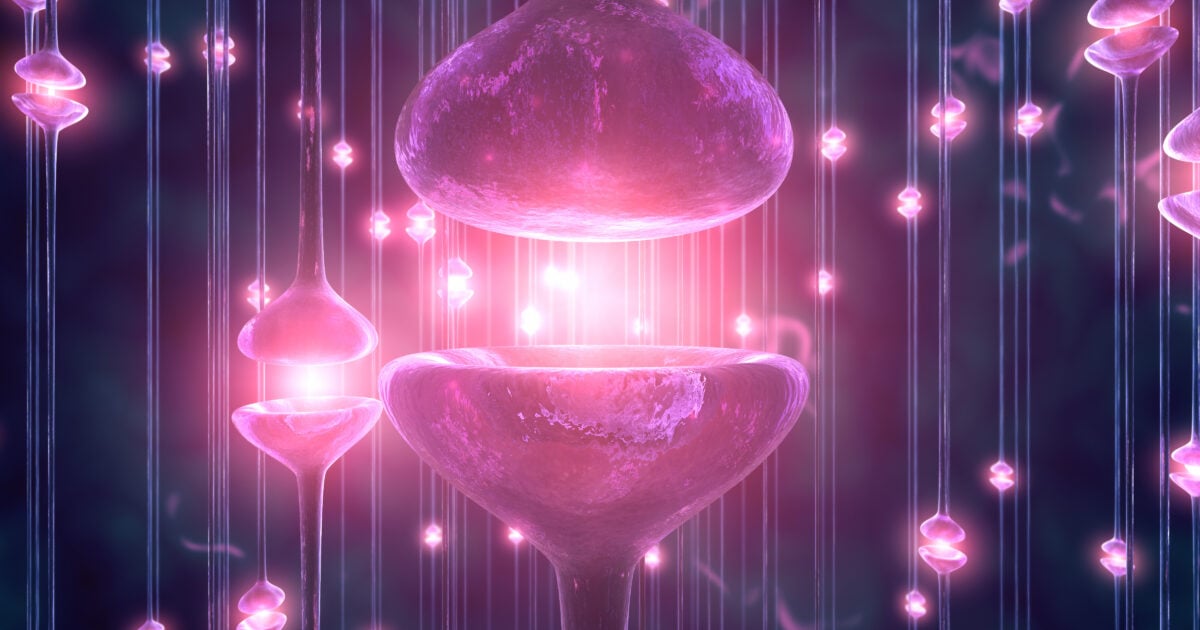 QImaging Ocular Software | Scientifica