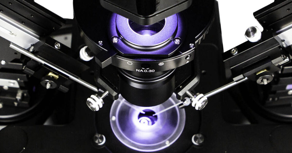 Patch Clamp | Scientifica