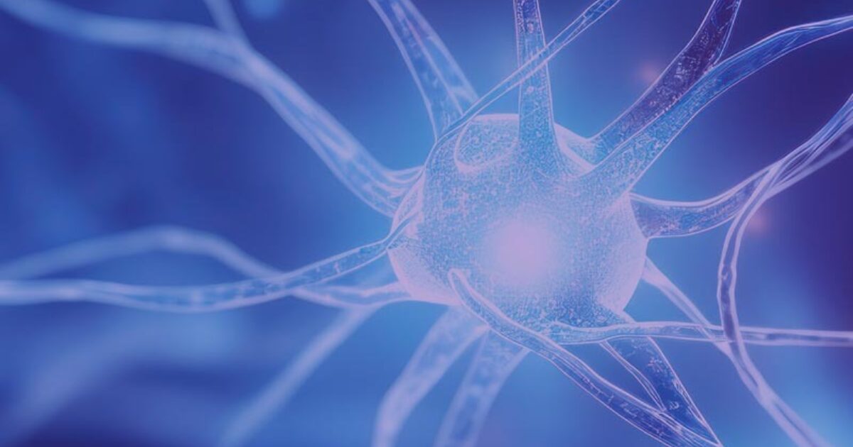 Strike True: How to accurately target your desired… | Scientifica