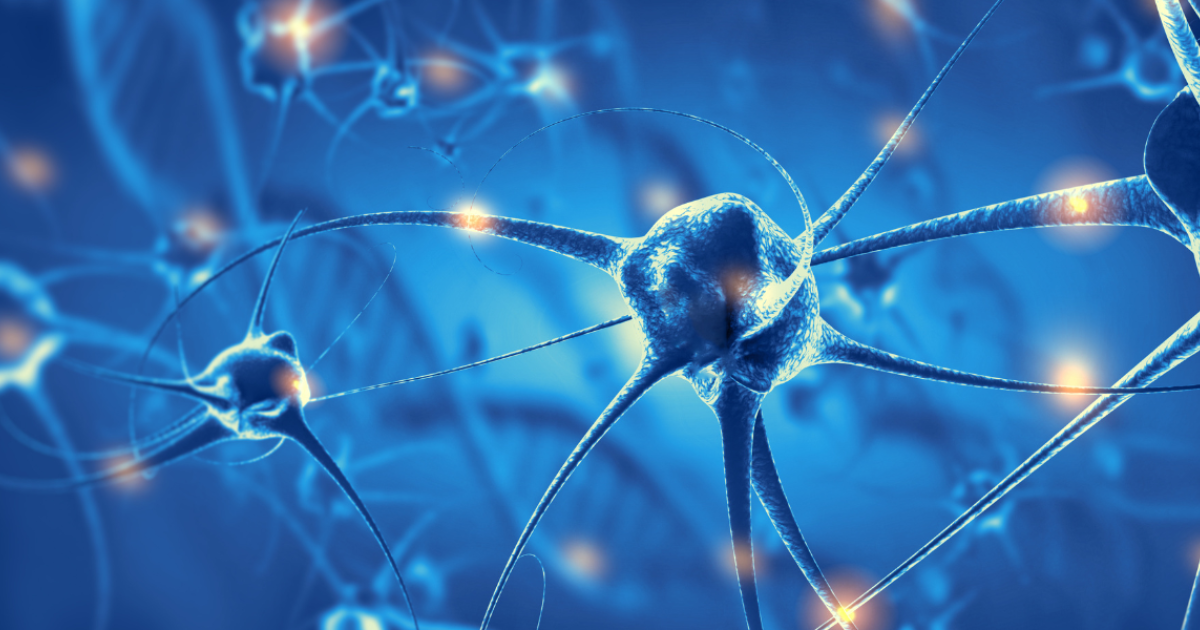 Electrophysiology protocols for LTP and LTD: Recording… | Scientifica